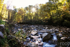 Fall Tennessee Trip!